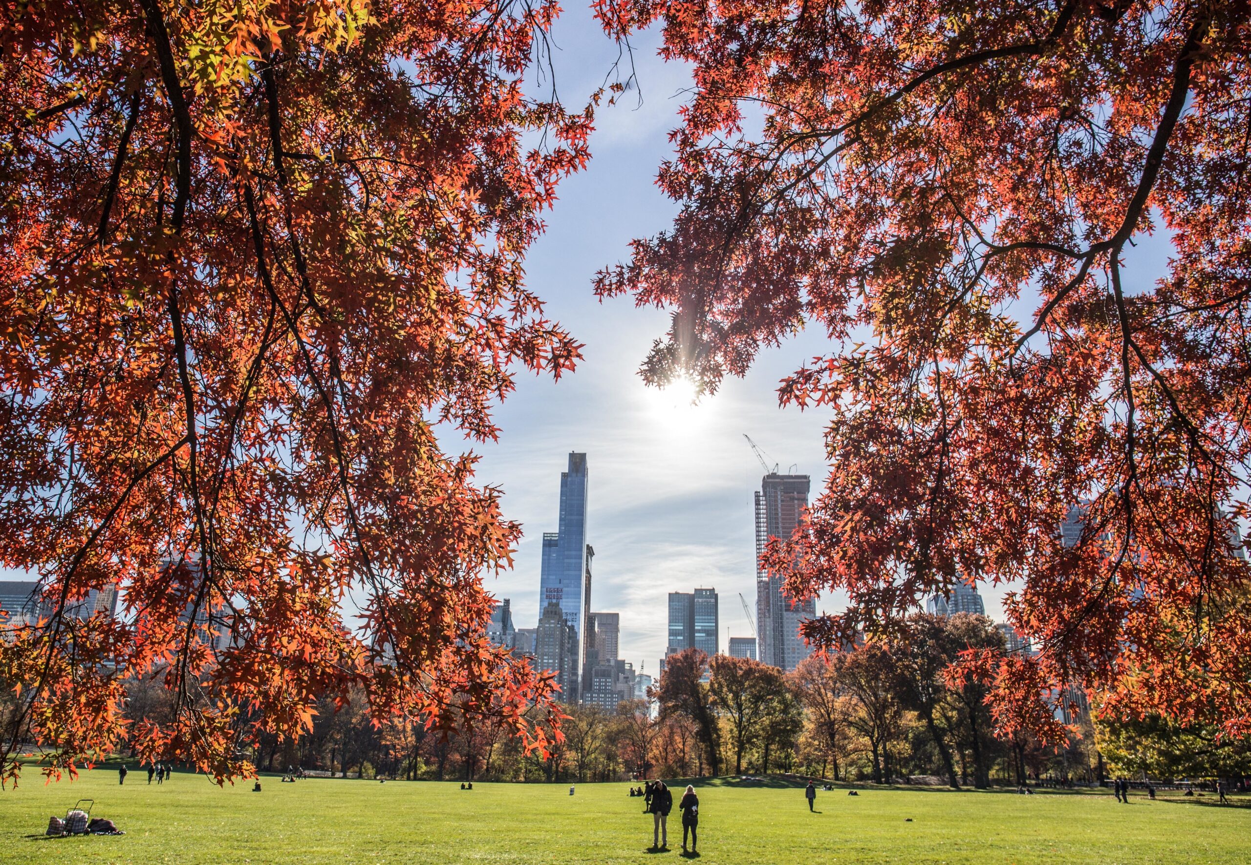 QUOI FAIRE À TORONTO EN NOVEMBRE 2025 ? - Aylee